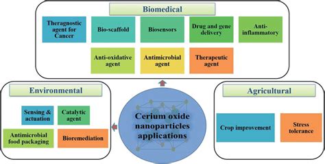 Potential Applications Of Cerium Oxide Nanoparticles In The Biomedical