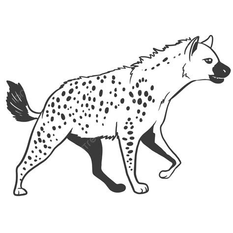 Гиены раскраска