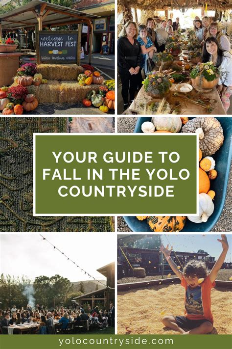 The Yolo Countryside