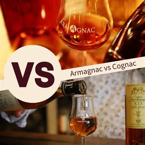 Armagnac Vs Cognac Armagnac And Dartagnan