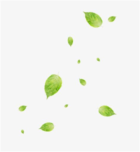 Fresh Green Leaves Drift Png Images Eco Friendly Graphic Design