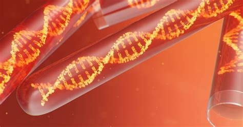 Decoding The Mystery Of Multiple Sclerosis Genetic Testing For Disease