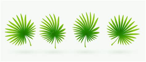 Collection De Fleurs Mignons Et Verdoyants Design De Fond Vecteur Gratuite