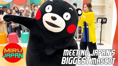 Kumamon Mascot