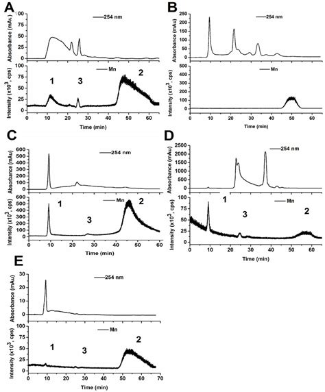 Elution Profiles Of Leaf Subcellular Soluble Proteins With Download Scientific Diagram