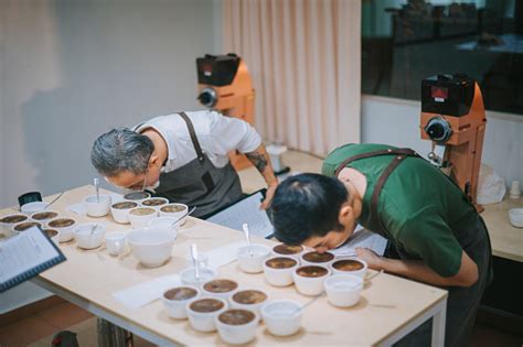 커피 를 가까이서 구부리는 커피 를 수행하는 높은 각도 보기 전문 아시아 중국 바리스타 그레이더 바리스타에 대한 스톡 사진 및 기타 이미지 Istock