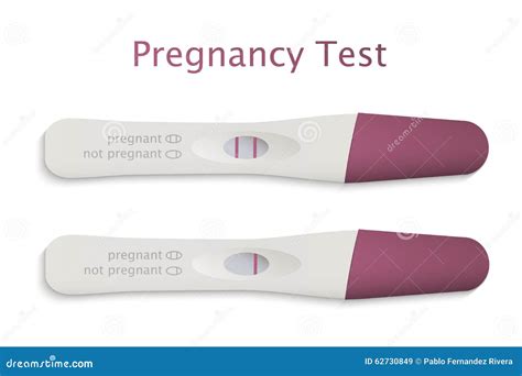 Positive And Negative Pregnancy Test Stock Vector Illustration Of