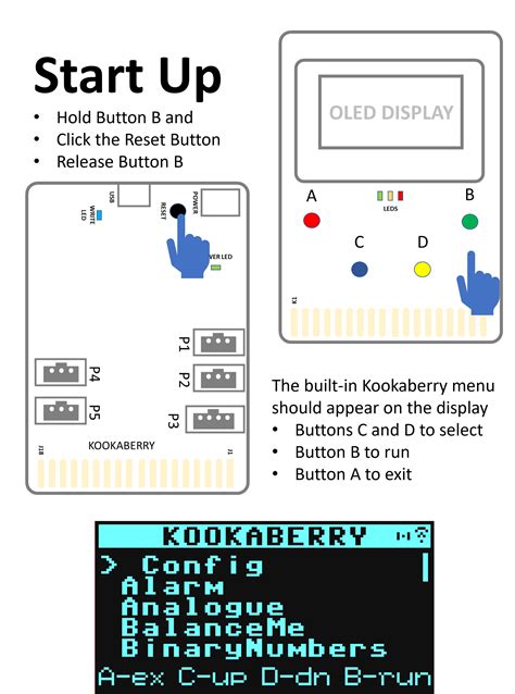 Using The Kookaberry — Kookaberry Reference Guide 1110 Documentation