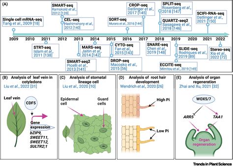 Introducing Single Cell Stereo Sequencing Technology To Transform The