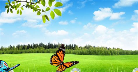 Sitsiritsit Alibangbang Filipino Folk Song Lyrics And Notes For Lyre