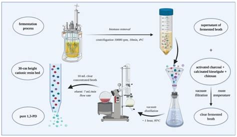 Biomolecules | Free Full-Text | Separation and Purification of Biogenic 1,3-Propanediol from ...
