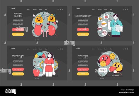 Endocrine System Organs And Disease Web Banner Or Landing Page Human
