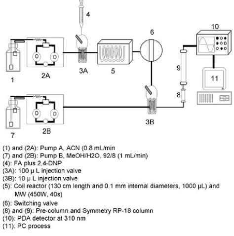 Schematic Diagram Of An On Line Derivatization Hplc System Download