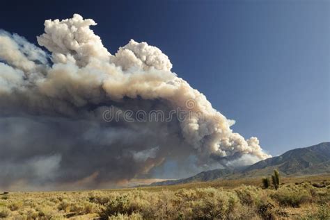 Nitrogen Dioxide Cloud Stock Image Image Of Explosion 61444871