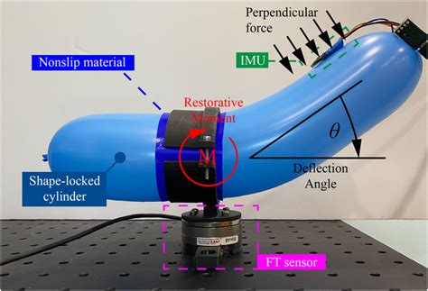 Setup For Bending Stiffness Experiment Of Shape‐locked Hyperelastic Download Scientific Diagram