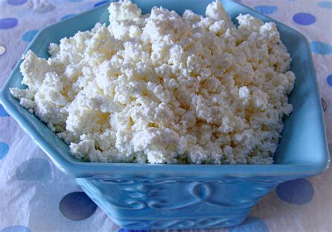 Cottage Cheese Discharge How To Treat It At James Engel Blog