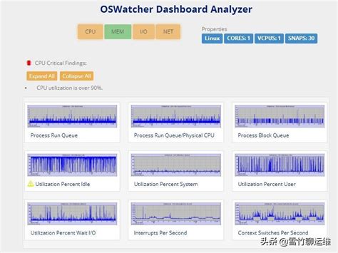 Oracle 性能分析工具 Oracle官方推出的主机性能分析利器oswbb工具 正数办公