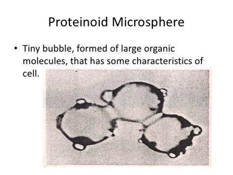 How Life Began Wake County Biology Curriculum Ppt Download