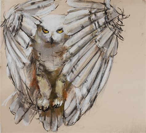 Flying Snowy Owl Drawing