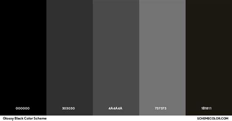 Glossy Black Color Scheme Palettes