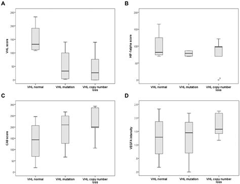 Effect Of Vhl Gene Alterations On Protein Expression Of Vhl And Its