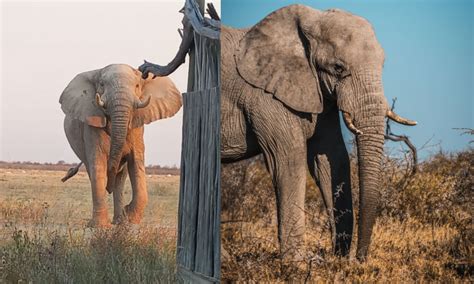 Wasserrutsche Haare Der Virale Hairstyle Mit Tutorial Techcooper