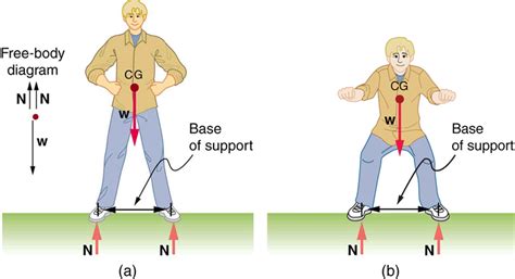 Stability Fundamentals Of Human Kinetics