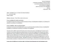 Découvrez 16 Idées Lettre De Motivation Lettre De Motivation Simple
