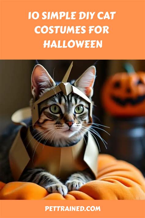 Costume For Cat Diy
