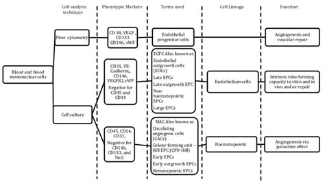 Table Summarising Cellular Analysis Technique Phenotype Markers