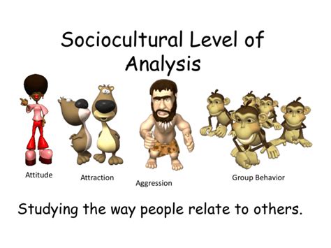 Sociocultural Level Of Analysis
