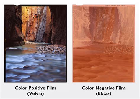 Color Negative Vs Color Positive Film