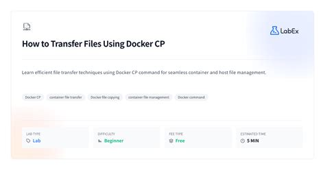 How To Transfer Files Using Docker Cp Labex