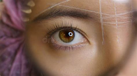 Architecture Of Eyebrows Microbleeding Eyebrow Measurement Stock Image