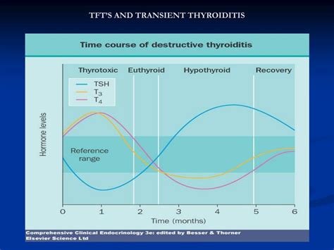 Ppt Gp Lecture Nov 2009 Powerpoint Presentation Free Download Id