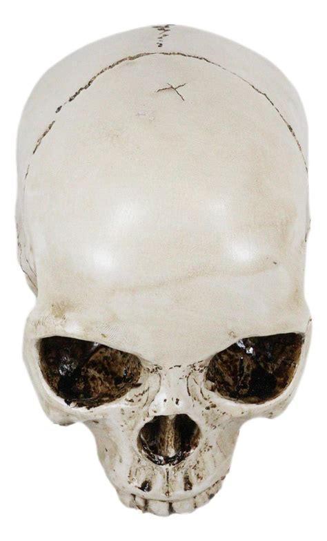 Jawless Skull Statue Pirates Jawless Skull And Swords Aged Flat Flag