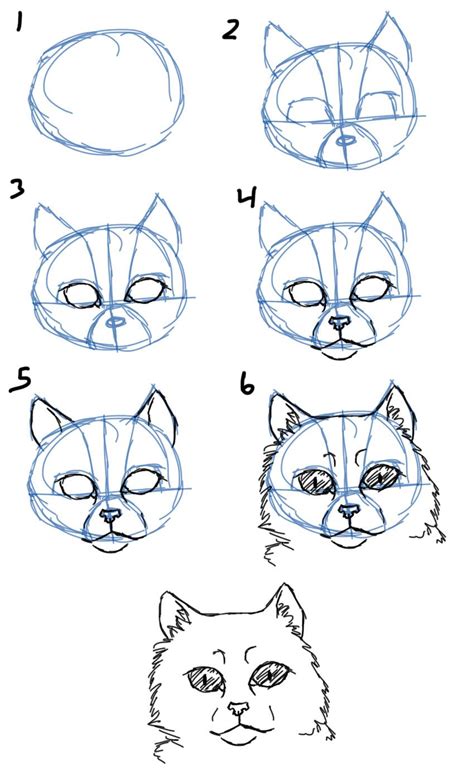 Cat Drawing Cat Face Drawing Animal Drawings