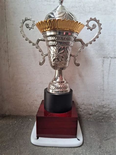 College Plain Trophy Cup At Rs 600piece Trophy Cup In Moradabad Id 2852450260848