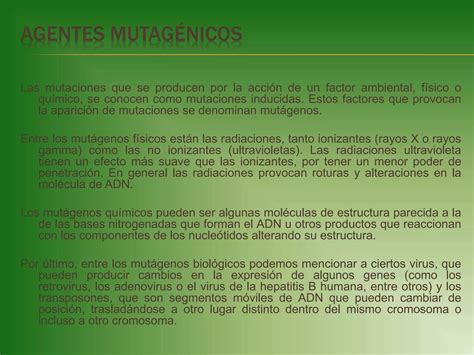 Genetica Mutaciones Pptx