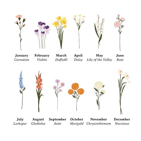 Personalised Couples Birth Flower Printa3 Unframed Birth Flowers