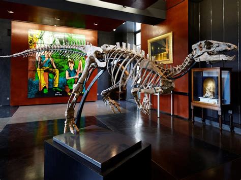 Iguanodon Skeleton Dinosaurs Hastings Museum And Art Gallery