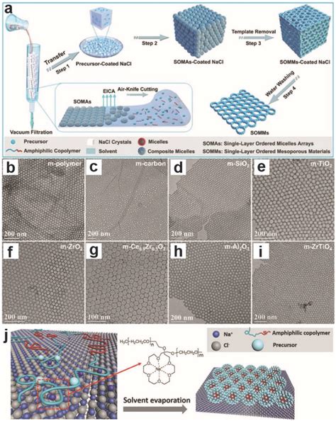A Schematic Illustration For The Fabrication Of Single Layered