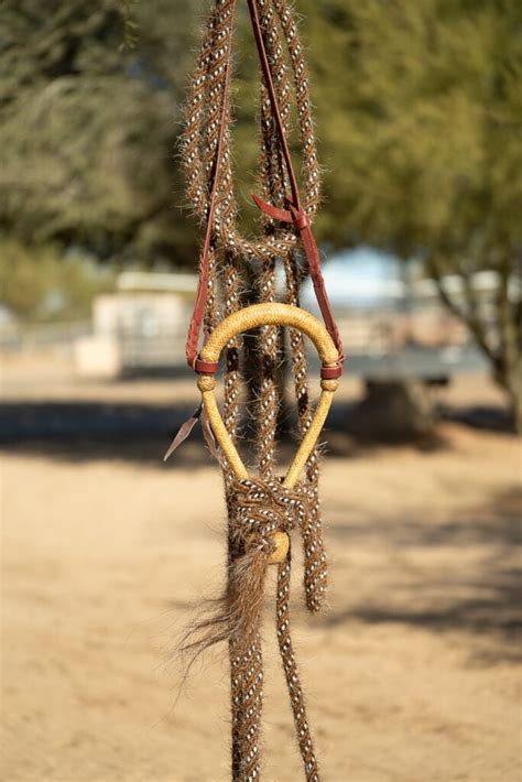 Western Braiders Rawhide Hackamore Set Al Dunning