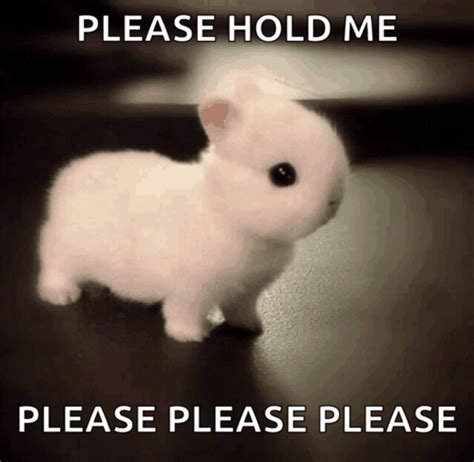 S De Please Hold Me Tenor