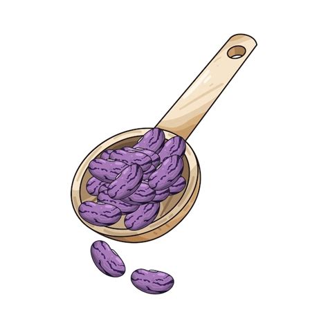 Premium Vector Bean Illustration