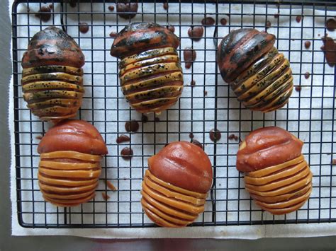 Cockroach Donuts Boston Cream 9 Steps With Pictures Instructables
