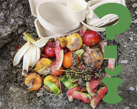 Cube Packaging Solutions Inc On Linkedin Singleuse Singleuseplastic Foodcontainers