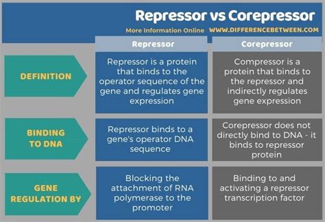 Difference Between Repressor And Corepressor Compare The Difference