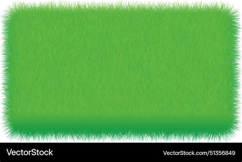 Green Grass Texture Background Royalty Free Vector Image