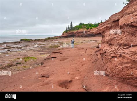 Tourist Taking Photographs Of The Landscape From The Ocean Floor At Low Tide On The Bay Of Fundy